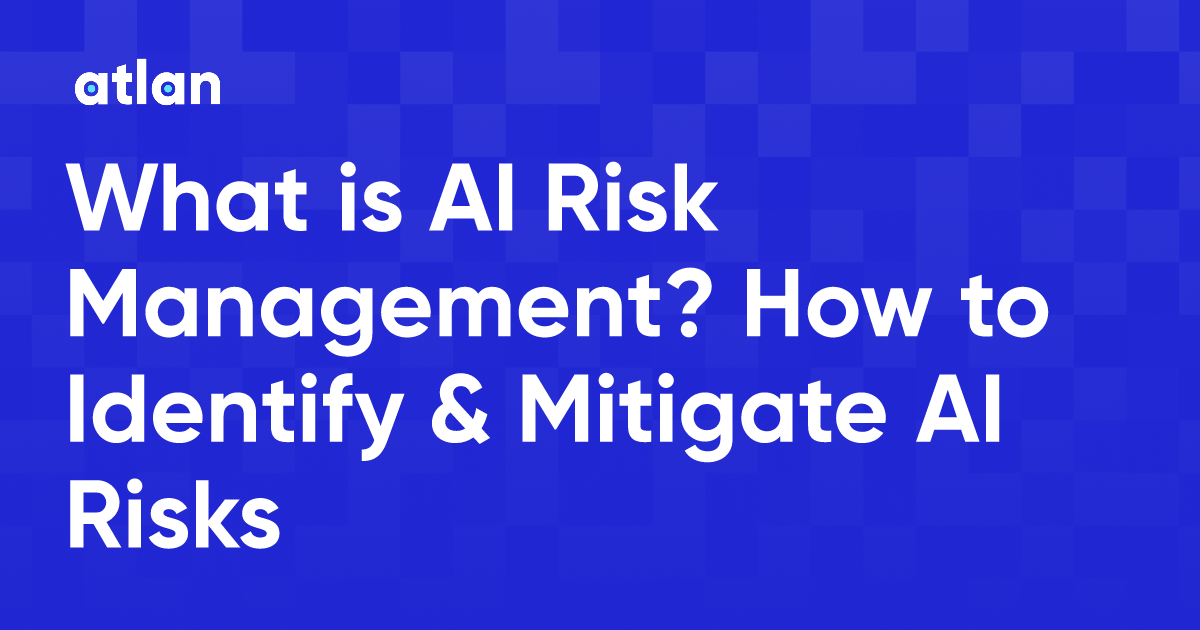 What is AI Risk Management? How to Identify & Mitigate AI Risks